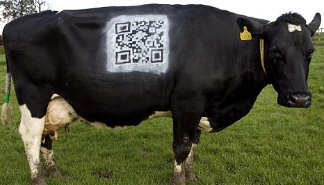 QR Codes in France: 8 Popular Use Cases And More!