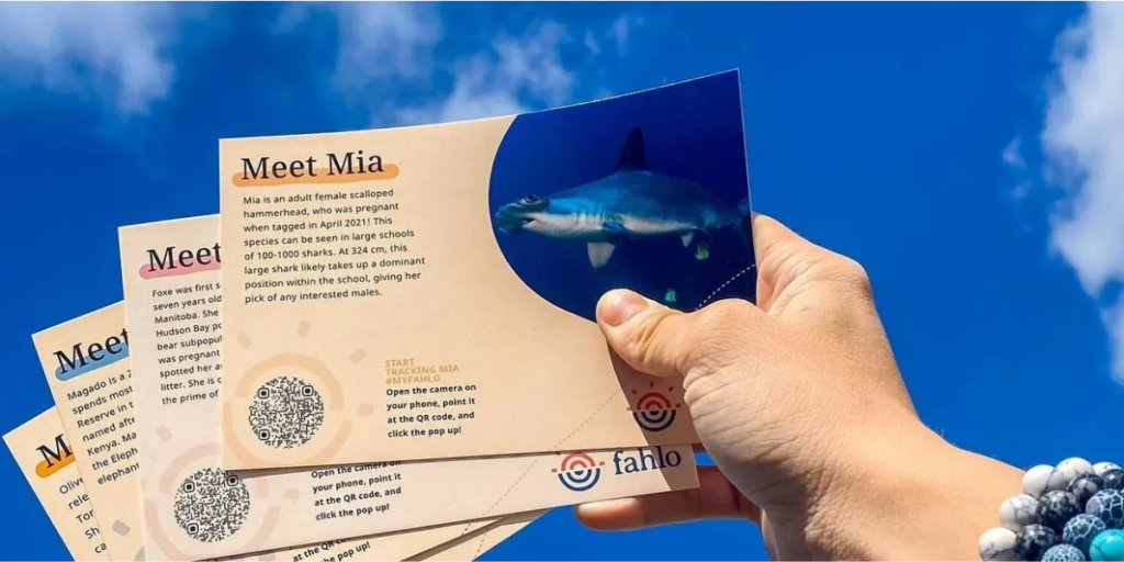 Fahlo QR Code: Discover Top 6 Benefits and More